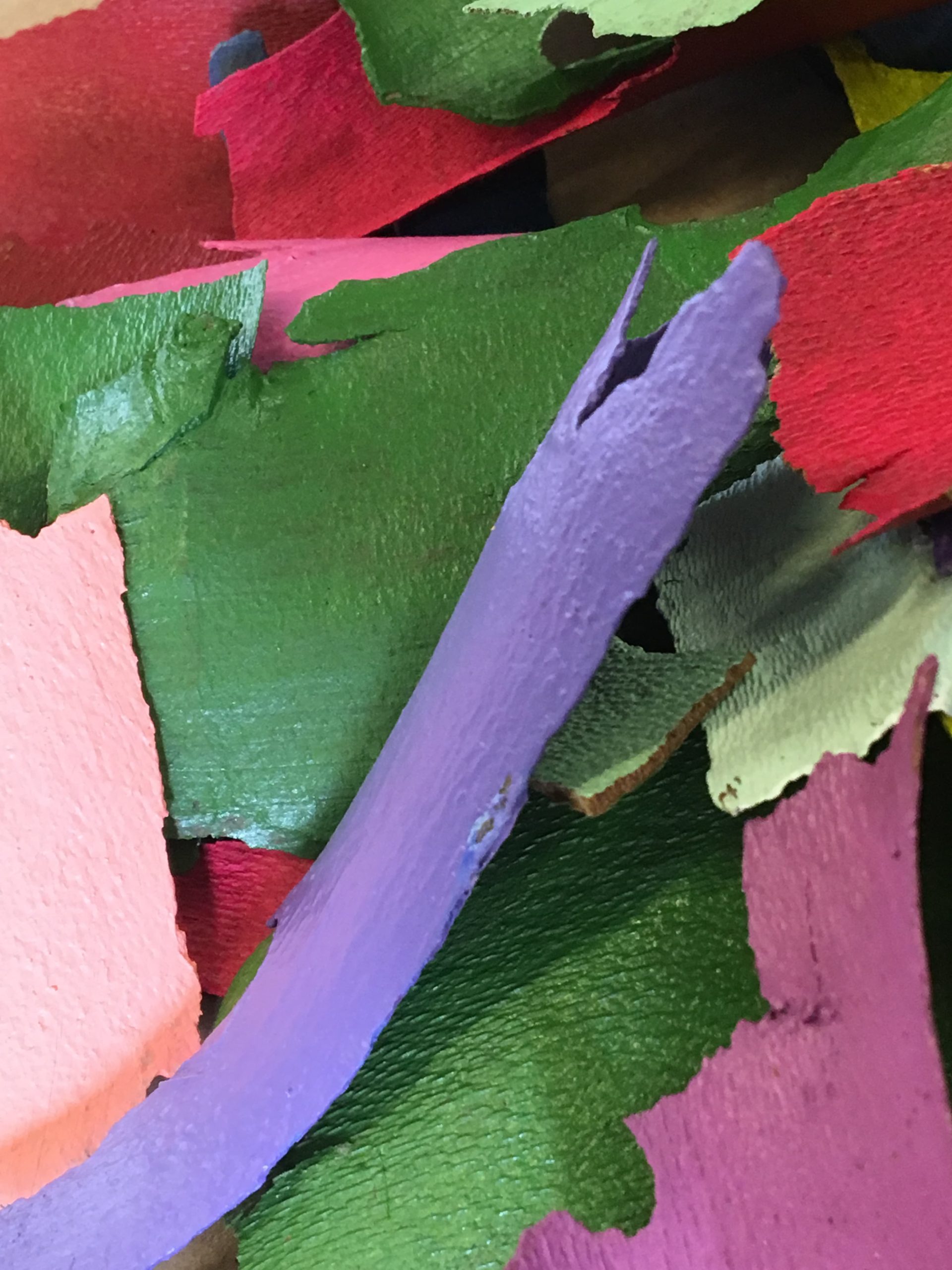 Painted Tree Bark Collage – West Park Cultural Center